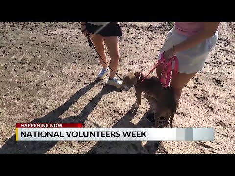 Local non-profits celebrate National Volunteer week