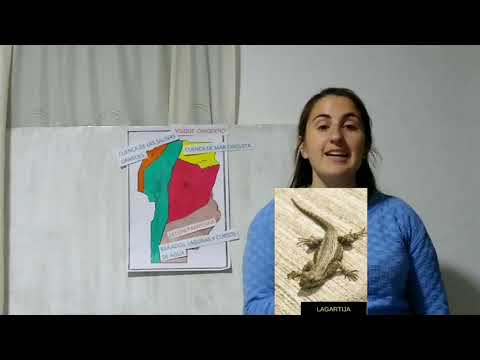 🦜 La Fauna de Córdoba🦜