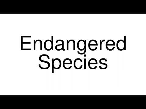 How to Pronounce correctly Endangered Species (Movie)