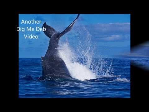 1-27-17 Captain Steve's 9:45 Tail throwing action