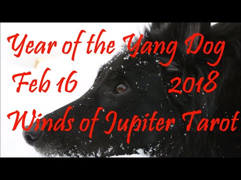 Dog 2018 Chinese New Year Reading - Born 1946, 1958, 1970, 1982, 1994, 2006, 2018 – Virtue & Peace