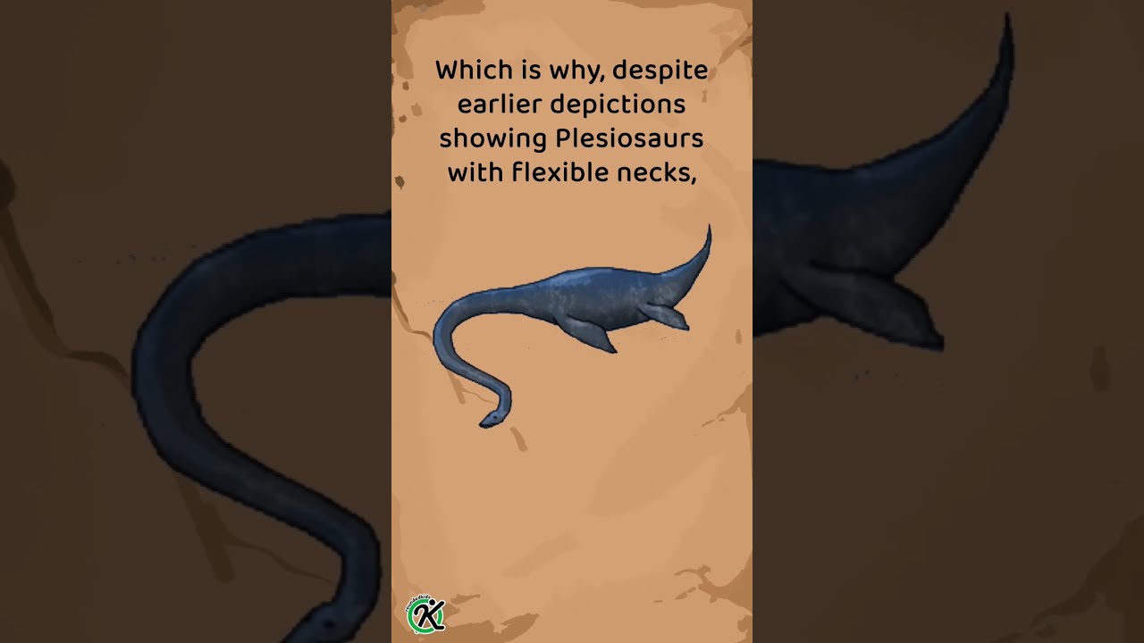 How did the Plesiosaur swim?! #reptile #jurassic #palaeontology #fossil #notactuallydinosaur