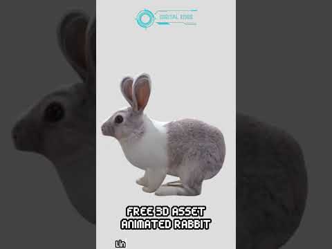 FREE DOWNLOAD 3D ASSET | ANIMATED RABBIT