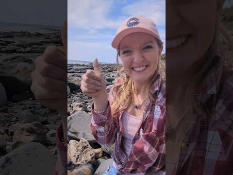 A Geologist Day in the Job #geology #rocks #geologist #fossils