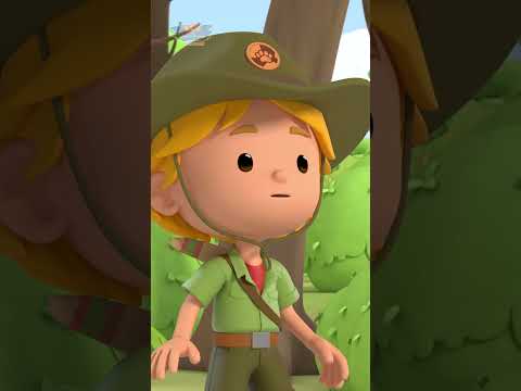 Bird Makes Camera Sounds?! πΈ | Leo the Wildlife Ranger | Kids Cartoon | #shorts #animals