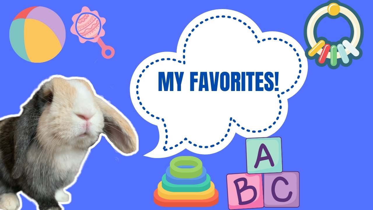 Favorite Rabbit Supplies- Heidi