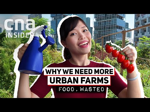 Can Urban Farming Fix Our Broken Relationship With Food? | Food, Wasted 3/3