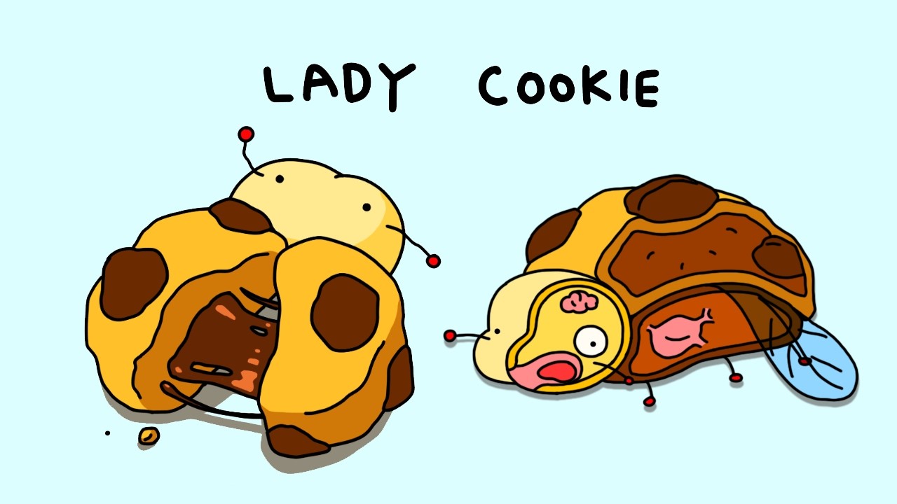 Ladybug is a Chocolate Chip Cookie.