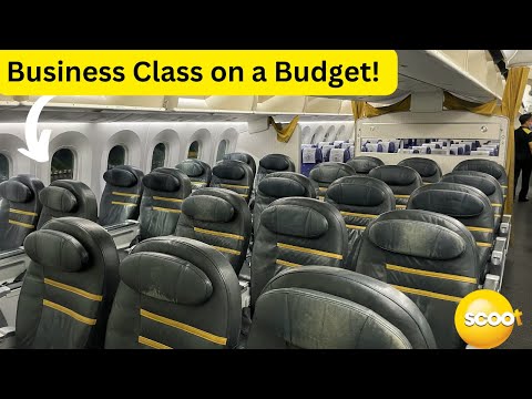 ScootPlus - Premium Economy Review with Scoot
