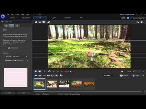 CyberLink PhotoDirector | Usando Efecto de Desenfoque para Mejorar Fotos