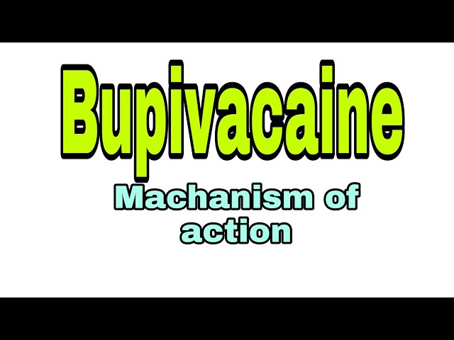 Pharmaceutical Injections - 200 Mg/5 Ml PCD Pharma Estradiol Valerate ...