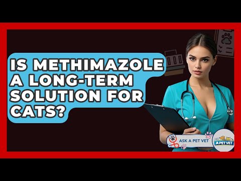 Is Methimazole A Long-Term Solution For Cats? - Ask A Pet Vet