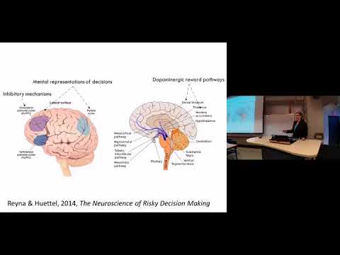 2016-06-21 - Valerie Reyna - A Fuzzy Trace Theory of Risky Decision Making