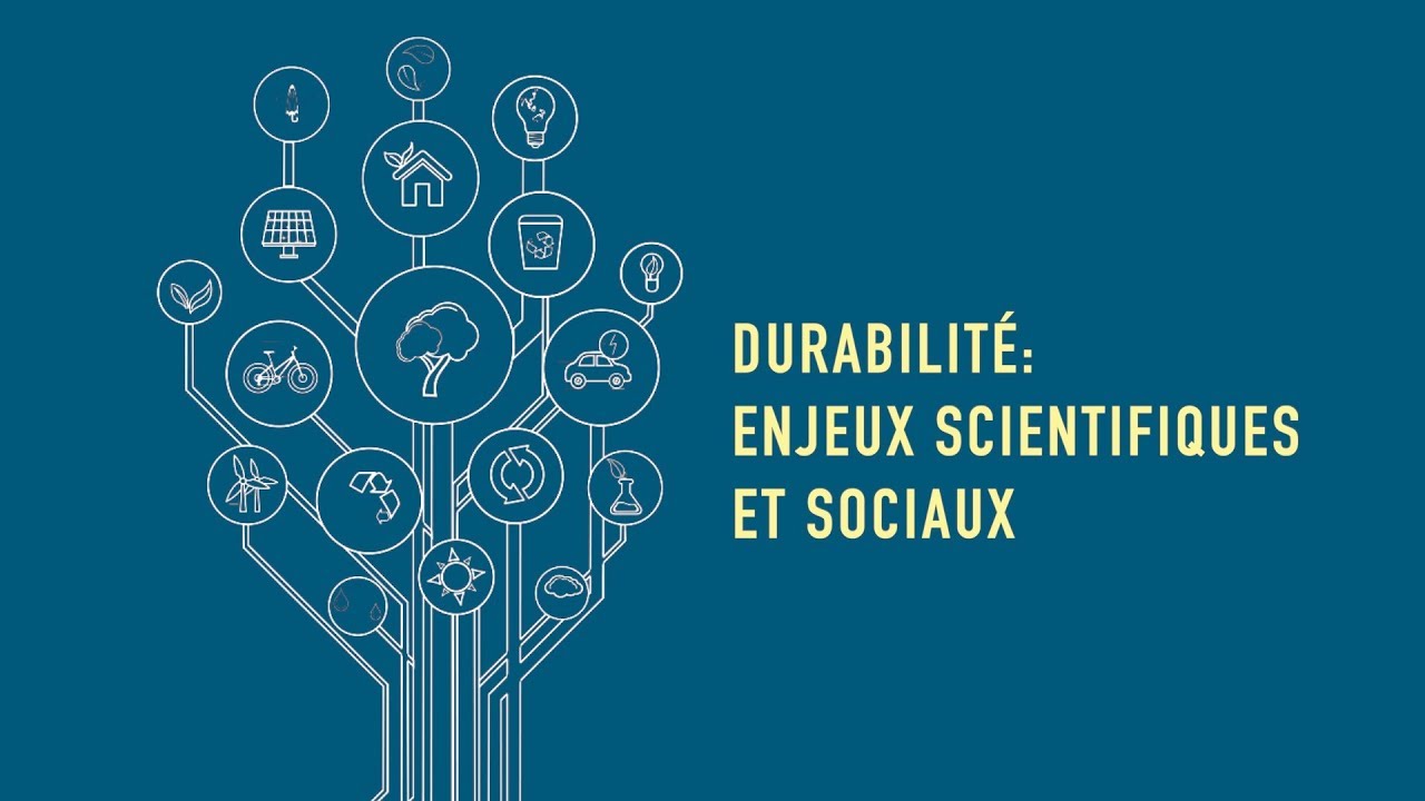 Sustainability: scientific and social issues