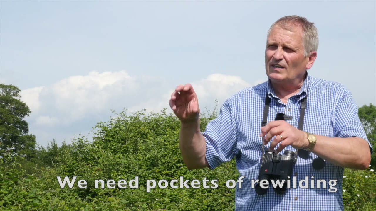 Wood for the Trees part 10 - Preview