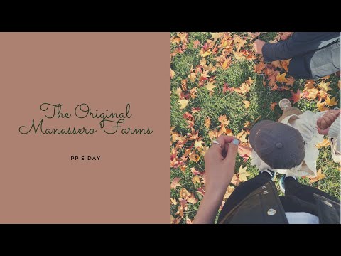尔湾遛娃 The Original Manassero Farms |跟我一起去农场|November vlog