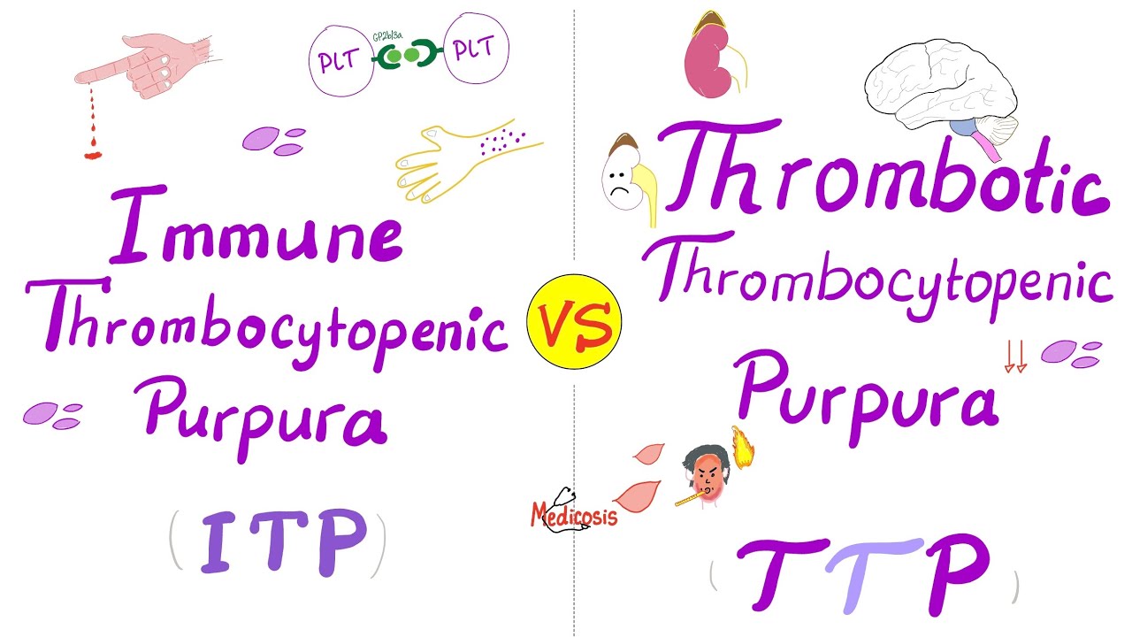 DVT/Clotting Disorder - Med طب