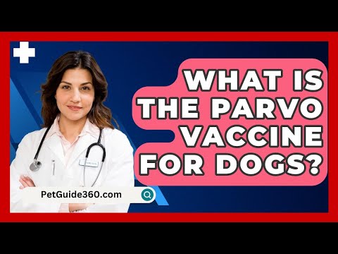 What Is The Parvo Vaccine For Dogs? - PetGuide360.com