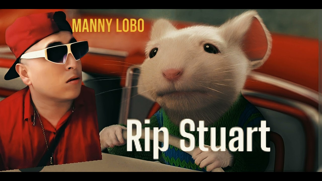 Rip Stuart by Manny Lobo from Panama | Popnable