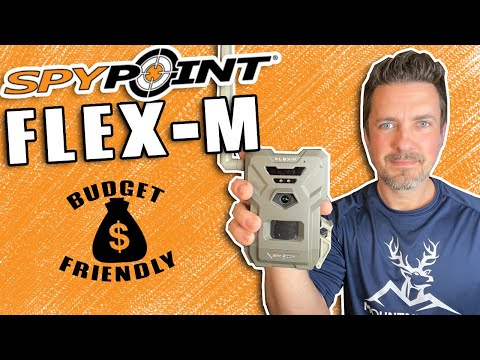 SpyPoint FLEX-M Cellular Trail Cam: Budget-friendly, Quality Photos & Videos + 100 Free Pics a Month