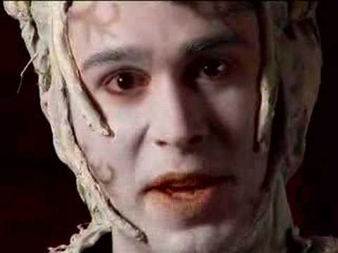 build your own being | dilettante