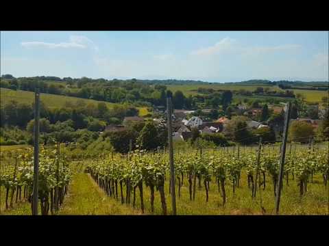 Discover the Markgraflerland Wine Region
