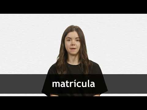 English Translation of “MATRÍCULA” | Collins Spanish-English Dictionary