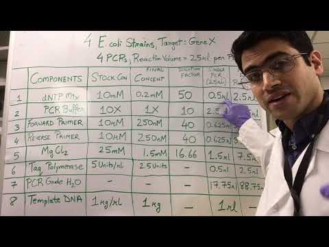 How To: PCR Calculations