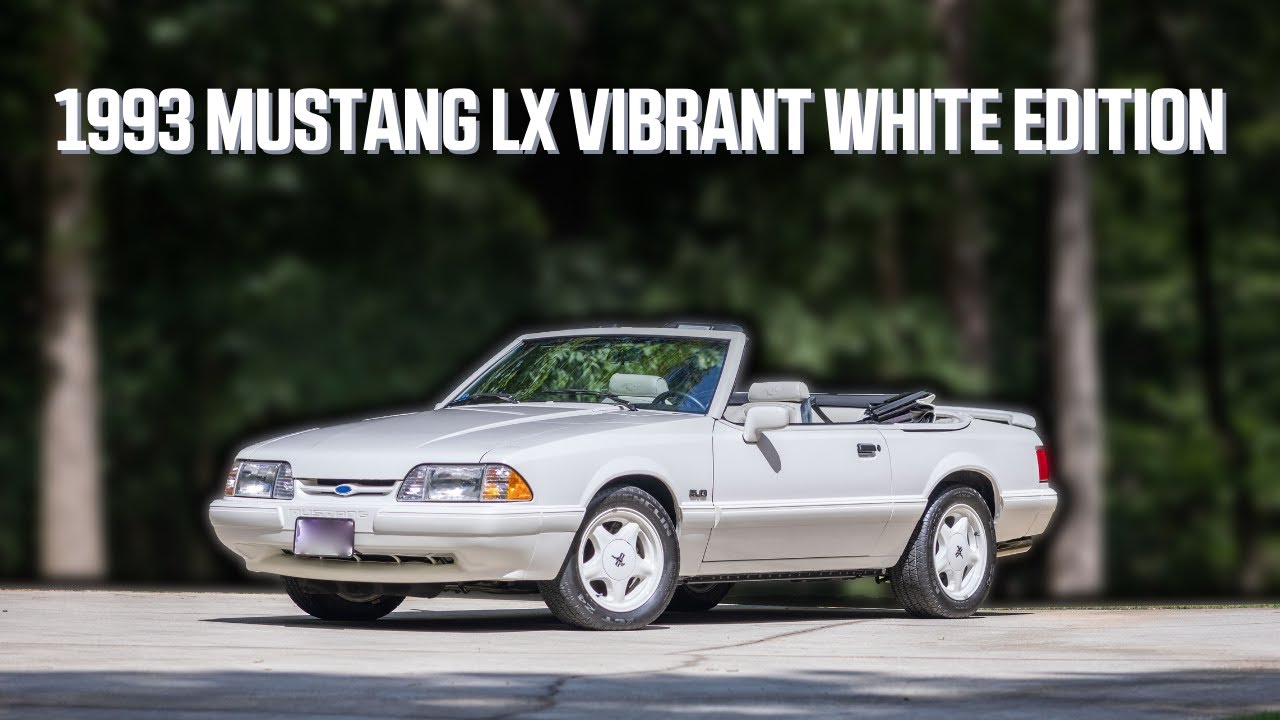 Stash of Rare yet Affordable Fox-Body Ford Mustangs Going Under the ...