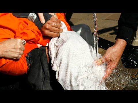 Senate Caught Trying to Remove 'Torture' from Wikipedia's CIA Torture Article