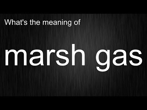 What Does "marsh gas" Mean? Unlocking Its Pronunciation Secrets!