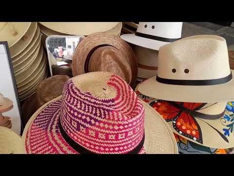 Conocías el sombrero de Tancoco? Quizá lo uses, mira cómo es – LIVIA ...