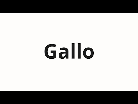 How to pronounce Gallo | Галло (Gallo in Russian)