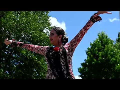 Video Tour of Voices from India 2024 – sos art cincinnati