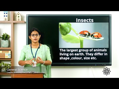 Grade 5 General Science Chapter 6 Class 2 Feeding Habits in Animals