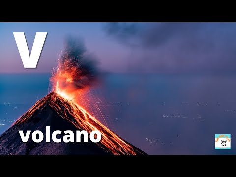 Five Words that Start with V | ABC | Alphabet