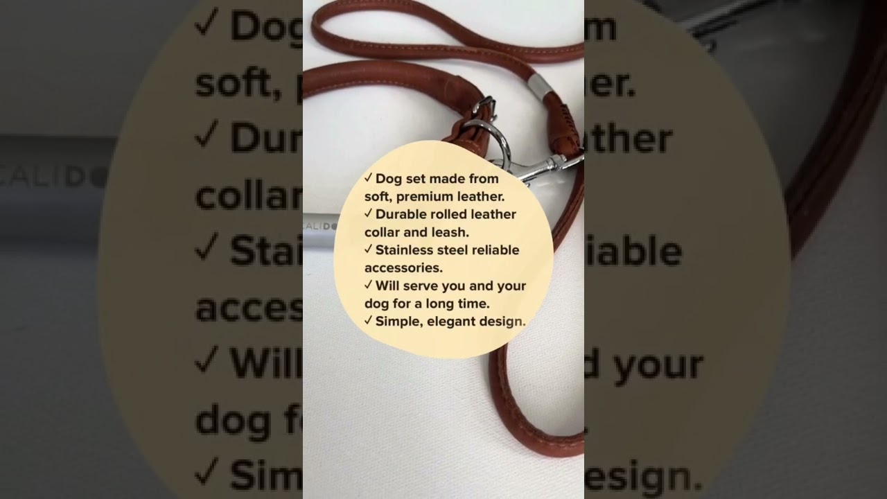 🤎 Brown Rolled Leather Dog Leash and Collar Set #calidog