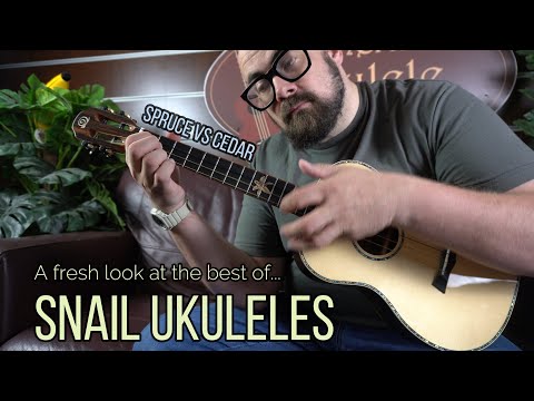 CEDAR VS SPRUCE TOP - A fresh look at the Snail BHC Ukuleles
