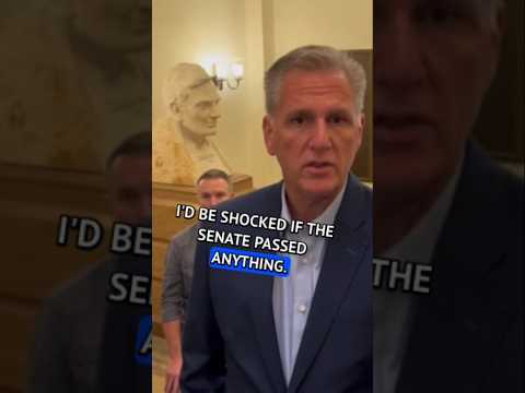 House Speaker McCarthy blames the Senate on potential government lockdown. #politics