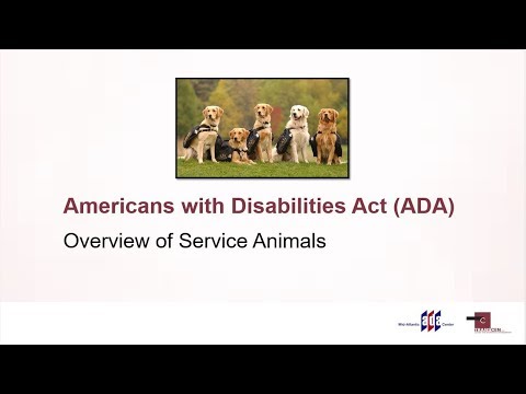 Overview of Service Animals
