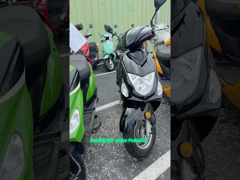 0% Financing. Visit NS4L.com today! #gainesville #moped #mopeds #scooter
