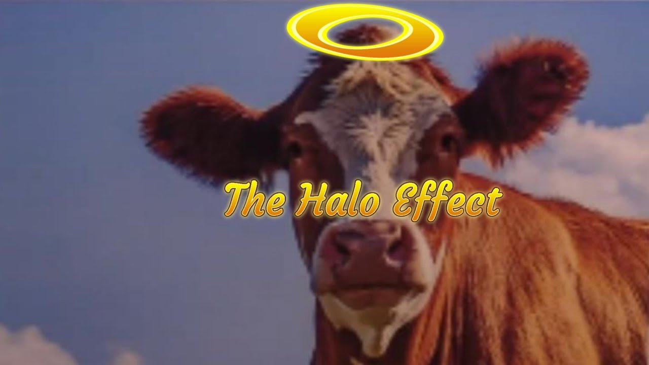 Quick Tip 400 - The Halo Effect