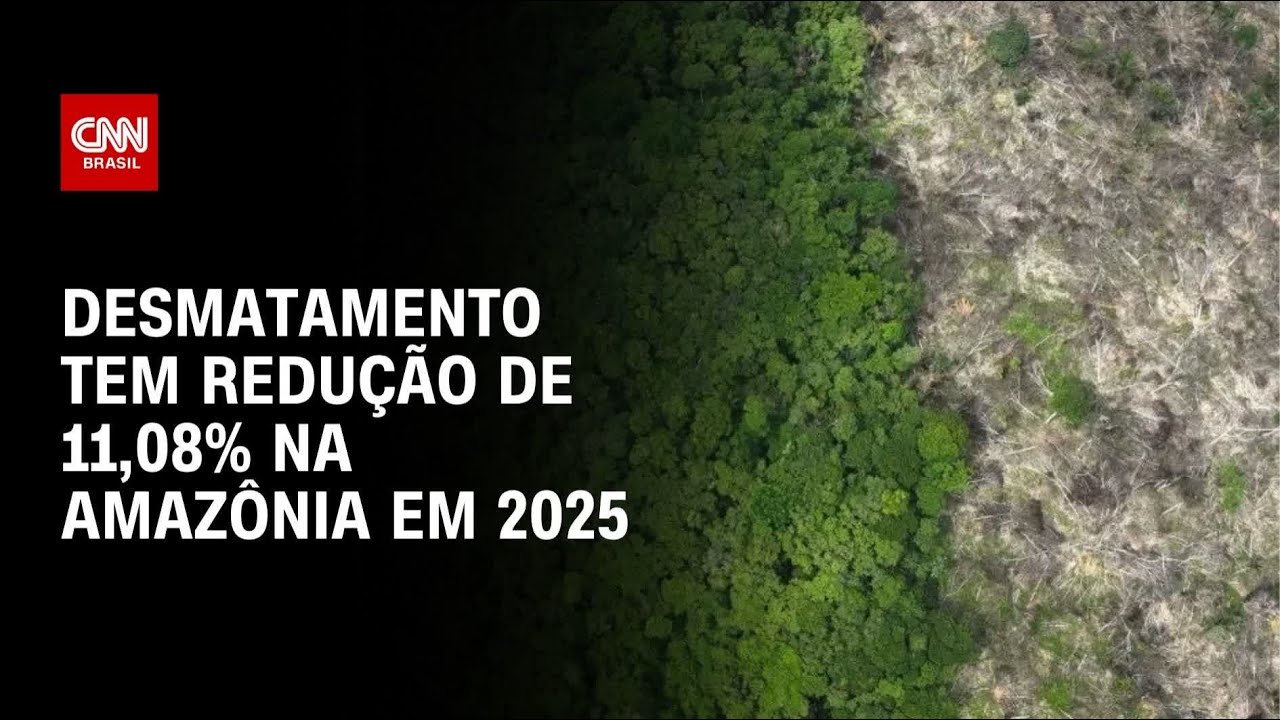Desmatamento na Amazônia atinge novo recorde de redução | CNN ARENA