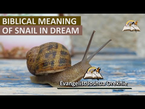 Biblical Meaning of SNAIL in Dream - Fact About Snails Dream Interpretation