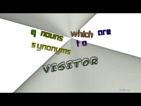 visitor - 9 nouns synonym of visitor (sentence examples)