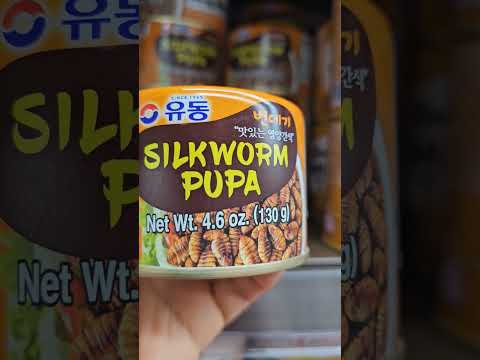 Would You Try This Silkworm Pupa In A Can?