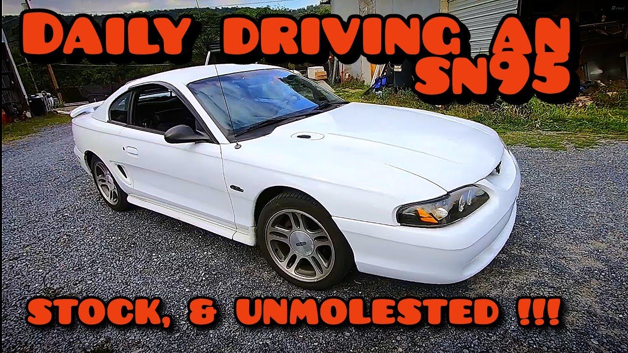 An Honest, REALISTIC, Sn95 Mustang Review.