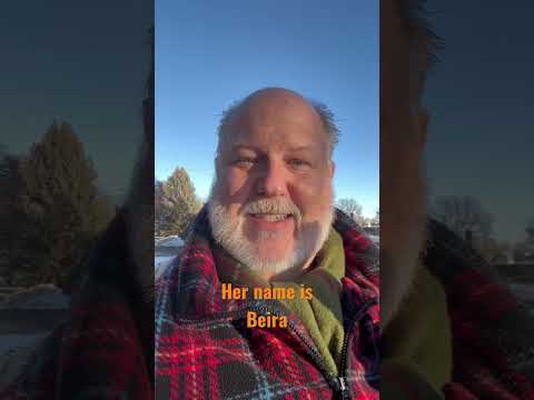 Scottish Groundhogs Day!?!
