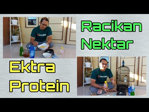 RACIKAN NEKTAR...EKTRA PROTEIN TINGGI MEMBUAT BURUNG SEHAT, JINAK DAN GACOR...!!!