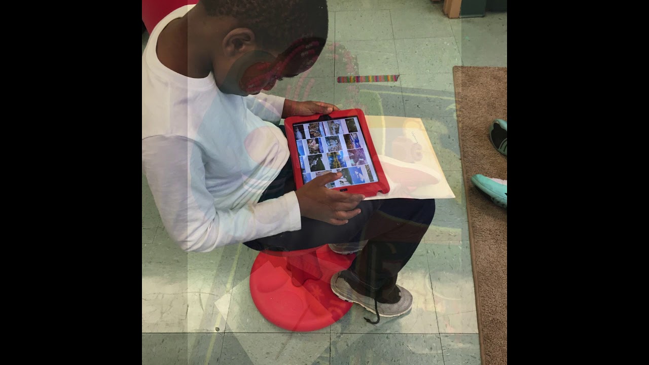 3rd Grade Project Based Learning